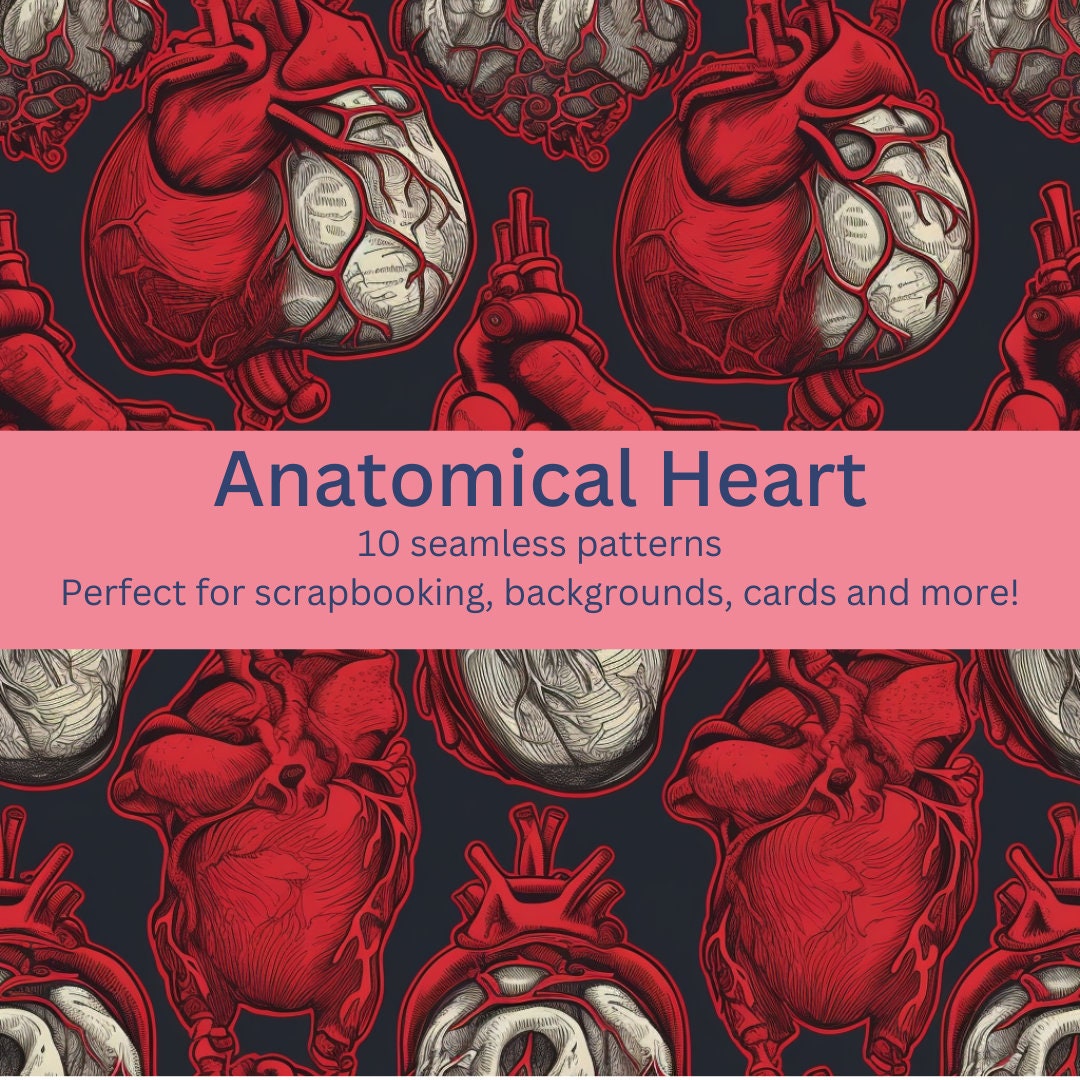 Exquisite Digital Seamless Anatomical Heart Patterns - 10 Distinctive ...