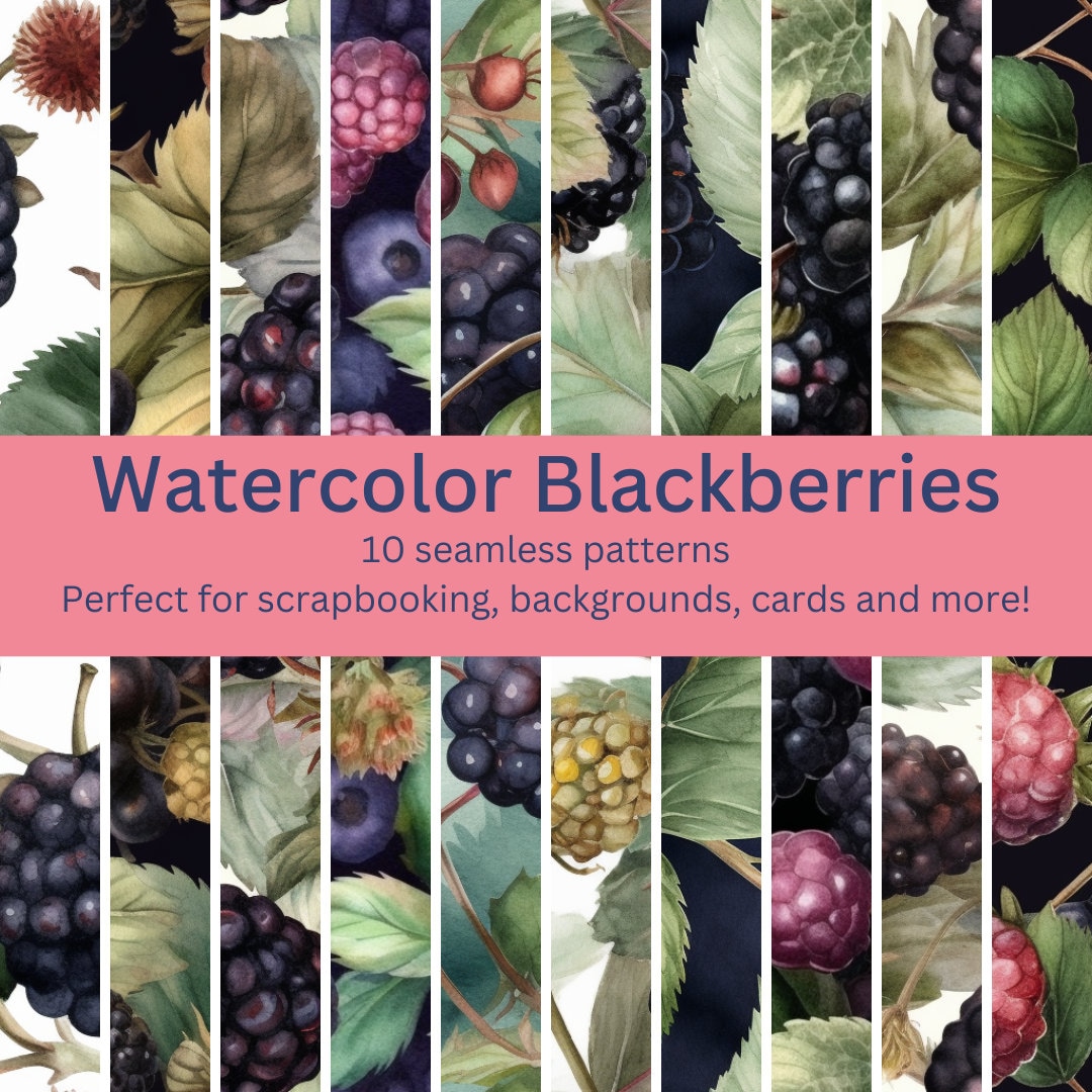 10 Vibrant Digital Seamless Watercolor Blackberry Patterns: Perfect for ...