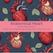 Exquisite Digital Seamless Anatomical Heart Patterns - 10 Distinctive ...
