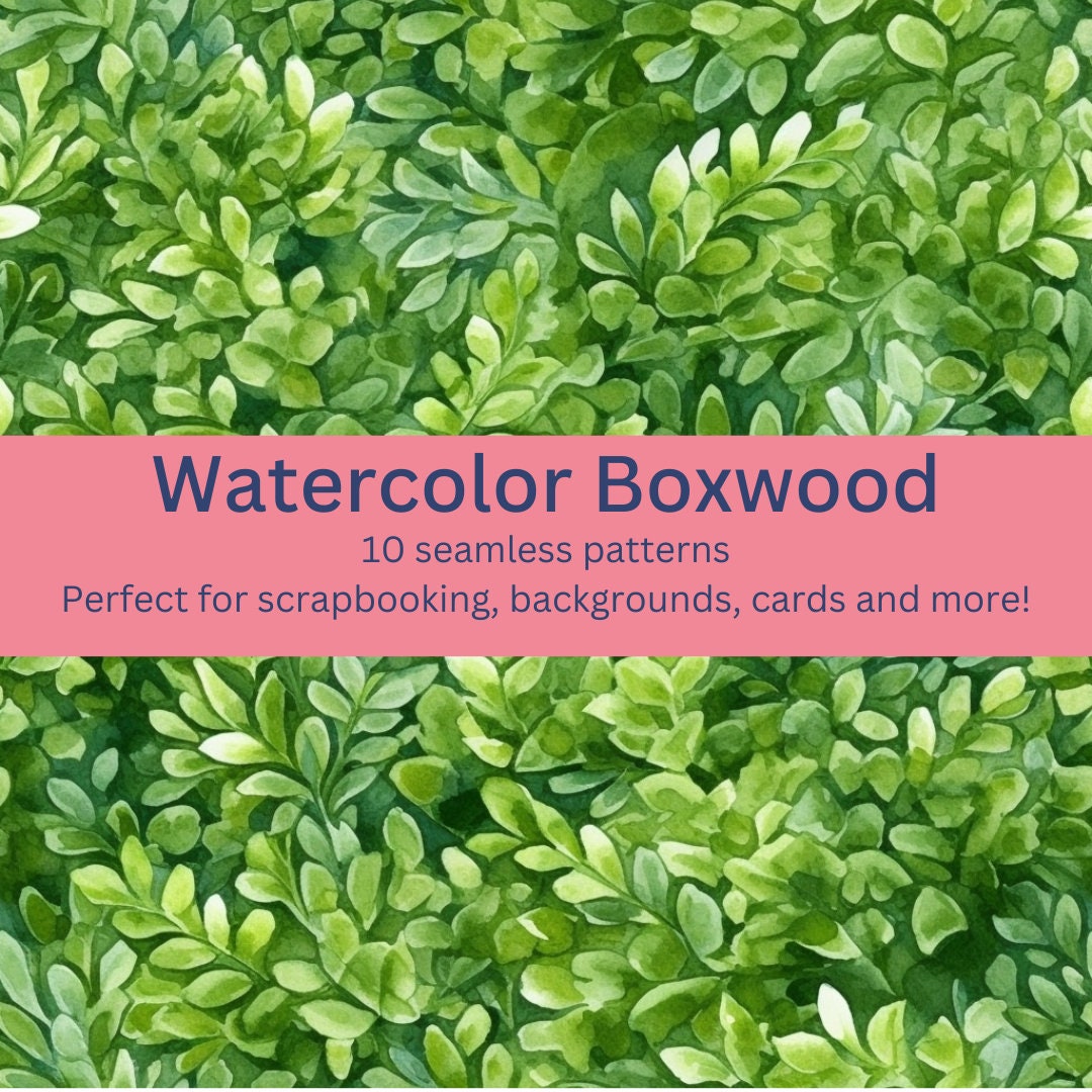 10 Lush Digital Seamless Watercolor Boxwood Patterns: Designs for DIY ...