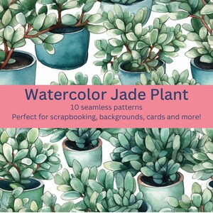 Bringing Nature Indoors: 10 Jade Plant Digital Seamless Watercolor ...