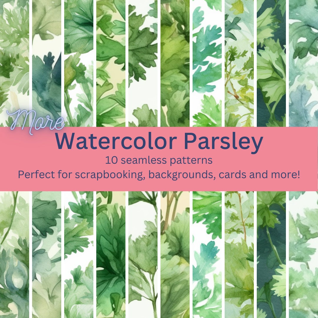 10 More Digital Seamless Watercolor Parsley Patterns: Fresh Botanical ...