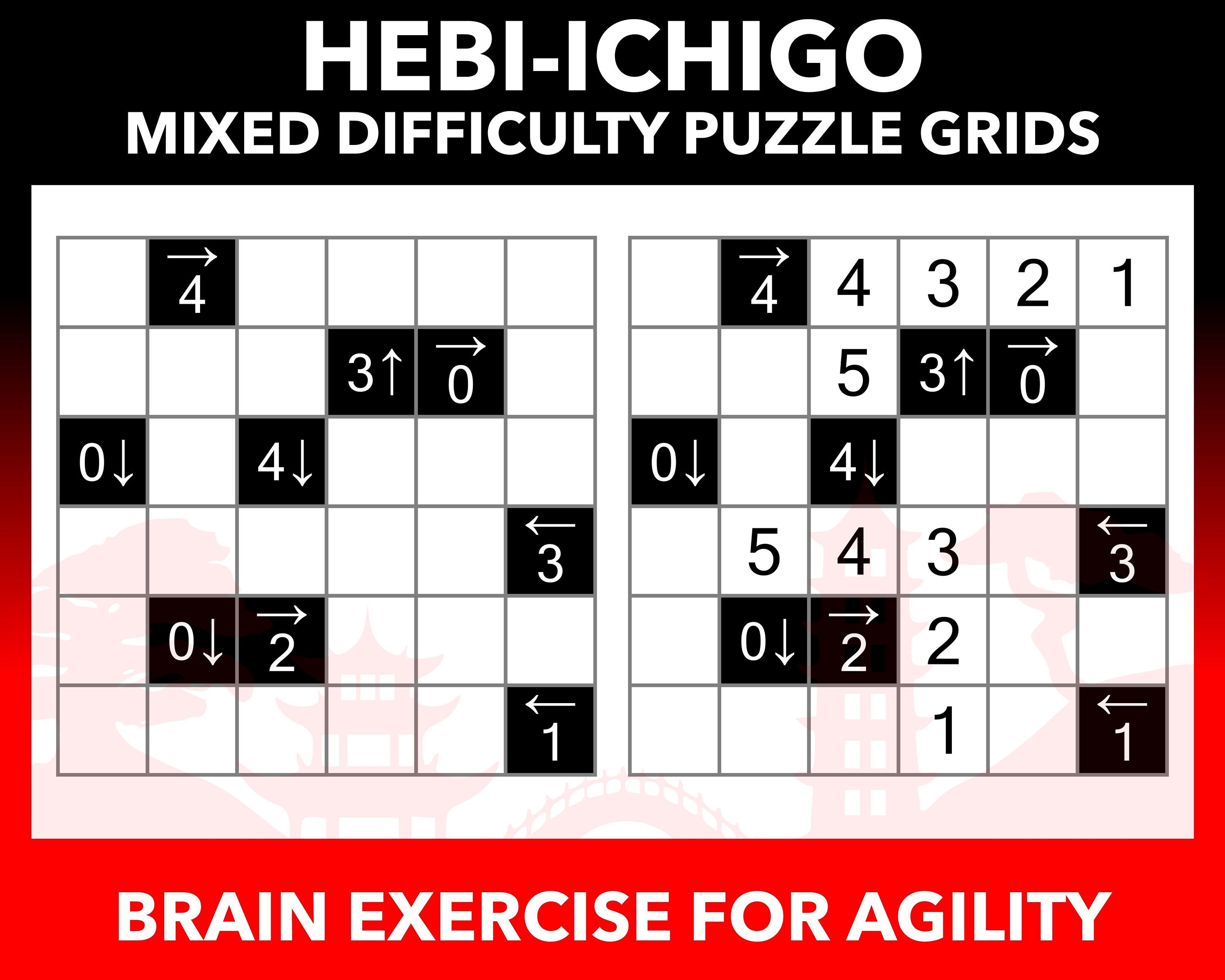 Brain Fitness Puzzle Collection #15 | 400 Puzzles | Digital Puzzle Book ...