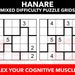Brain Fitness Puzzle Collection 15 400 Puzzles Digital Puzzle Book ...