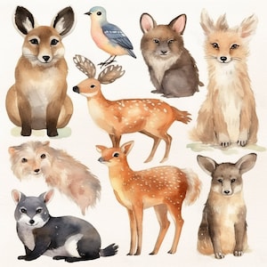 Watercolor Animals Clipart-animals Clipart in PNG Format for Commercial ...