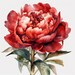 Aquarell Rote Pfingstrose Clipart - Pfingstrosen im PNG-Format zum ...