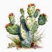 Watercolor Cactus Clipart in PNG Format for Commercial Use - Etsy