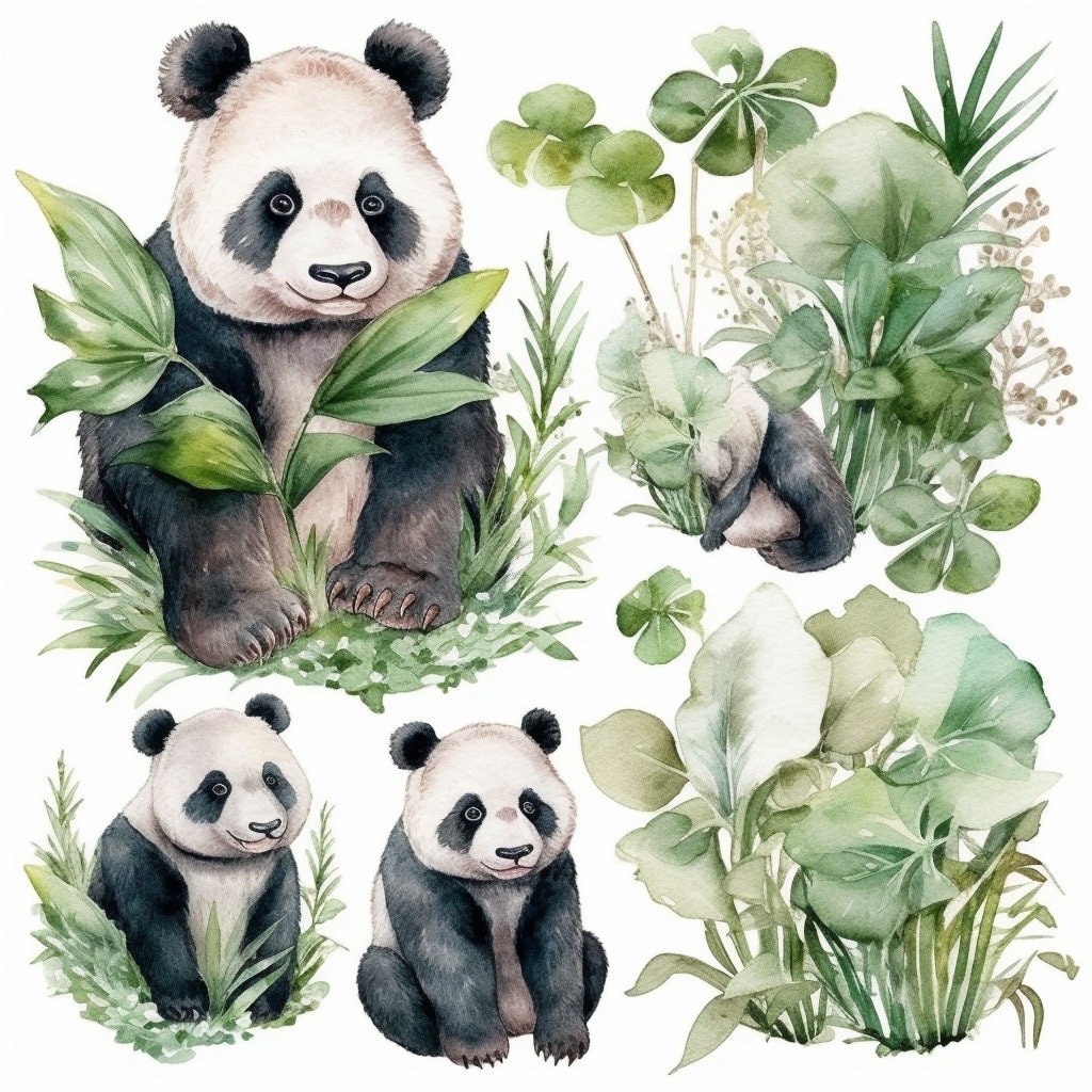 Watercolor Panda Clipart Panda Clipart in PNG Format for Commercial Use ...