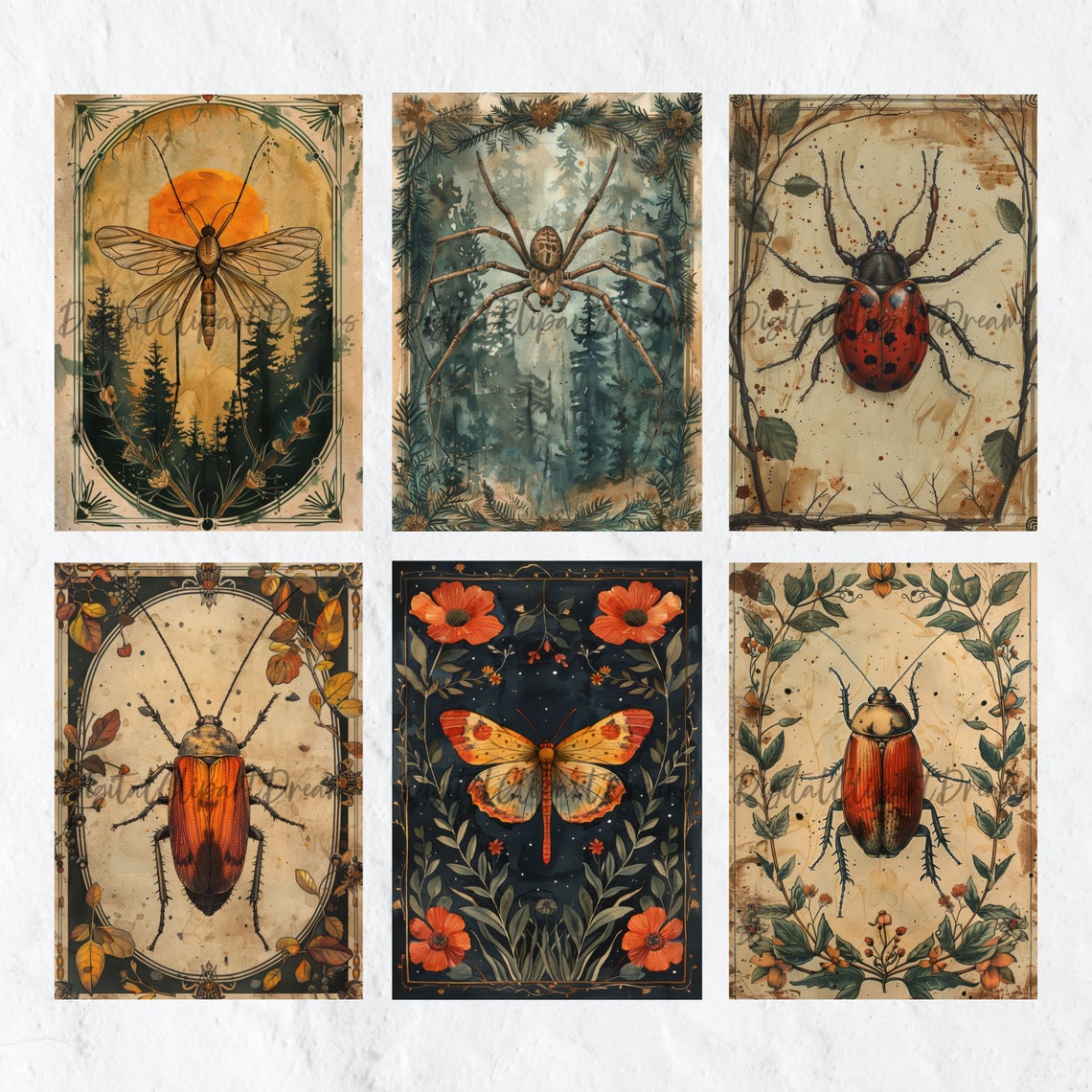 Insects Watercolor Digital Paper: Vintage Nature Ephemera (digital ...