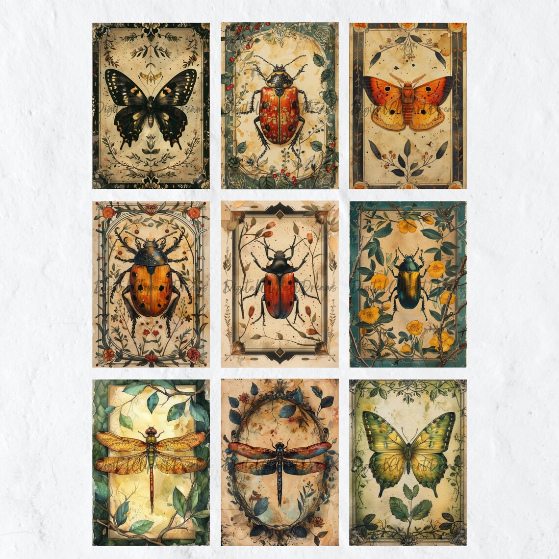 Insects Watercolor Digital Paper: Vintage Nature Ephemera (digital ...