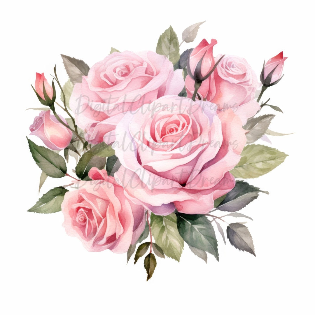 Pink Roses Clipart, 15 High Quality JPG Watercolor Flower, Roses ...