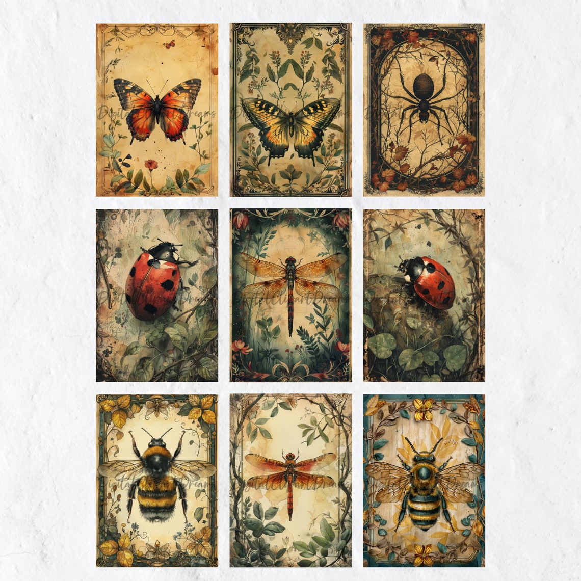 Insects Watercolor Digital Paper: Vintage Nature Ephemera (digital ...