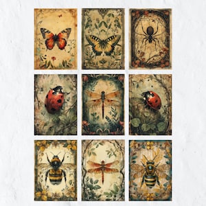 Insects Watercolor Digital Paper: Vintage Nature Ephemera (digital ...