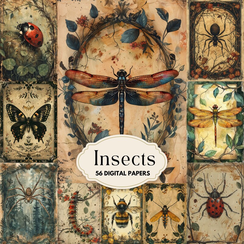 Insects Paper - Etsy