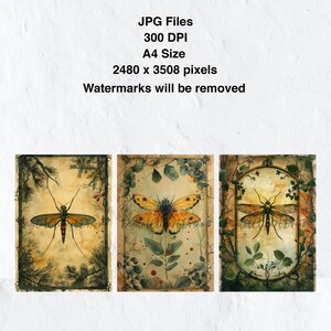 Insects Junk Journal and Scrapbook Pages, Watercolor Digital Paper Kit ...