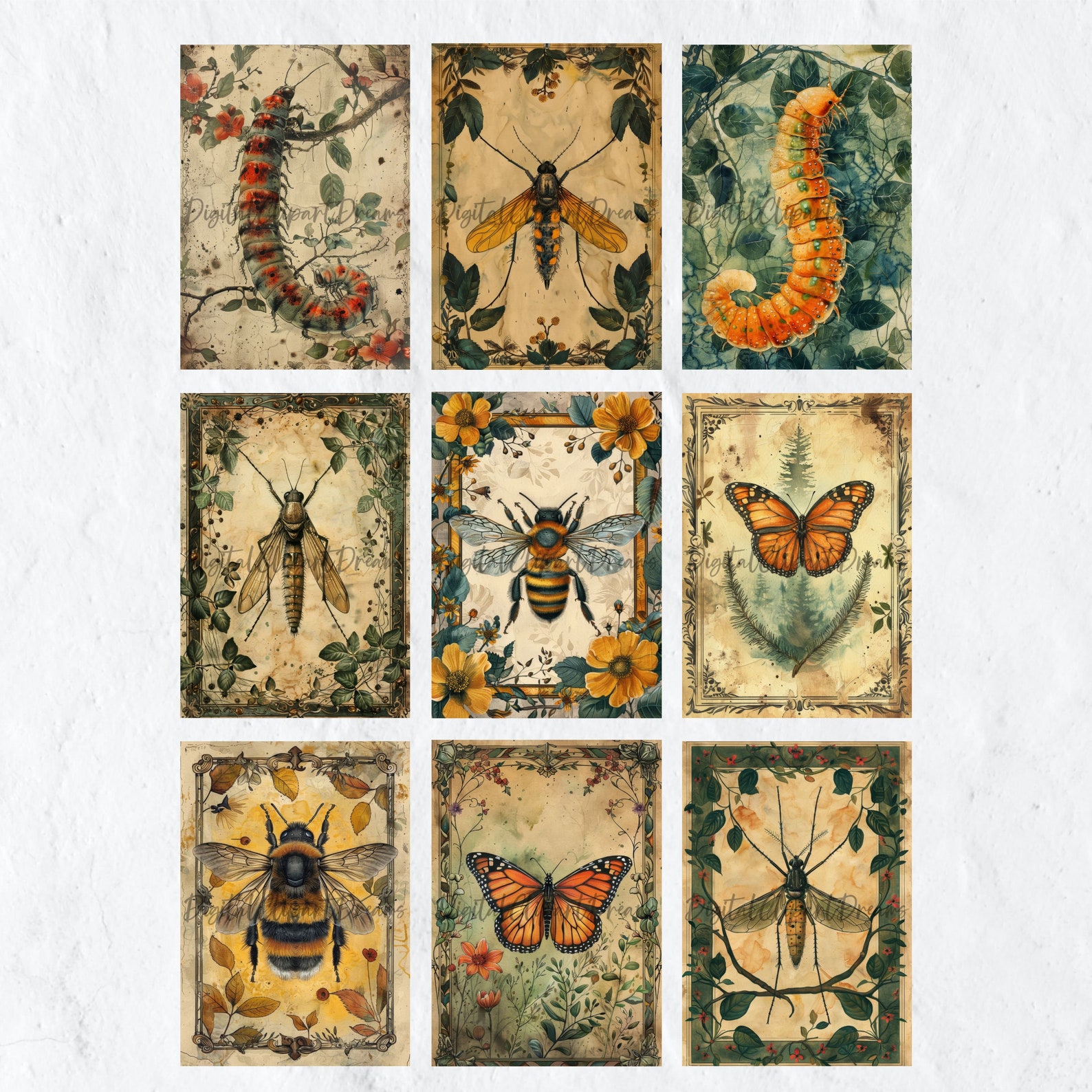 Insects Watercolor Digital Paper: Vintage Nature Ephemera (digital ...