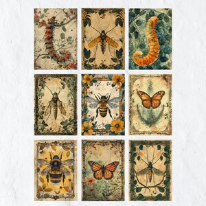 Insects Junk Journal and Scrapbook Pages, Watercolor Digital Paper Kit ...