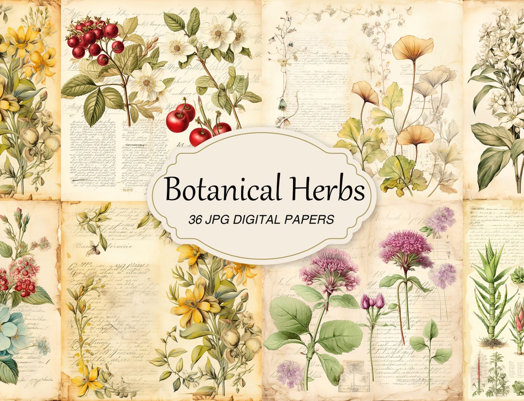 Botanical Herbs Paper Pack, Vintage Digital Paper, Antique Paper ...