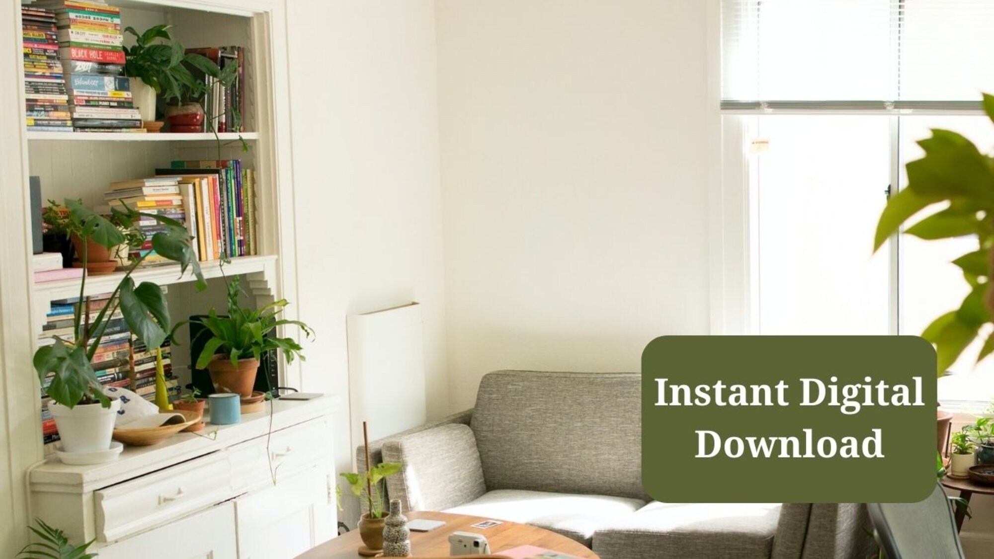 Transform Your Zoom Calls, Microsoft Teams, Skype, Google Meet With ...