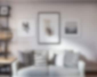 Transform Your Zoom Calls, Google Meet, Microsoft Teams With Stunning ...