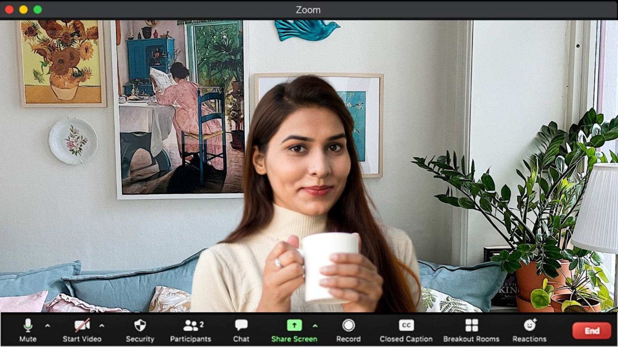 Transform Your Zoom Calls, Google Meet, Microsoft Teams, Skype With ...