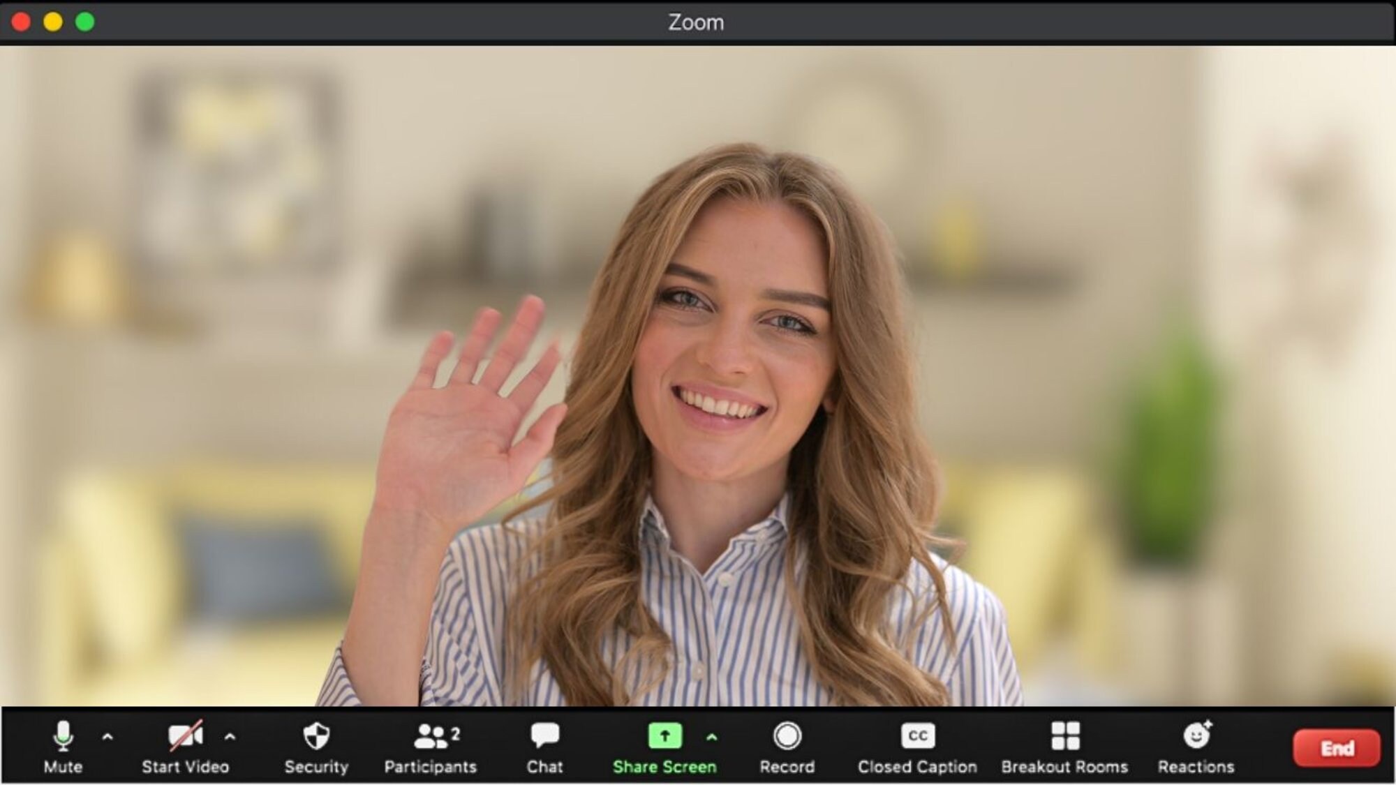 Transform Your Zoom Call, Google Meet, Microsoft Teams, Skype With ...