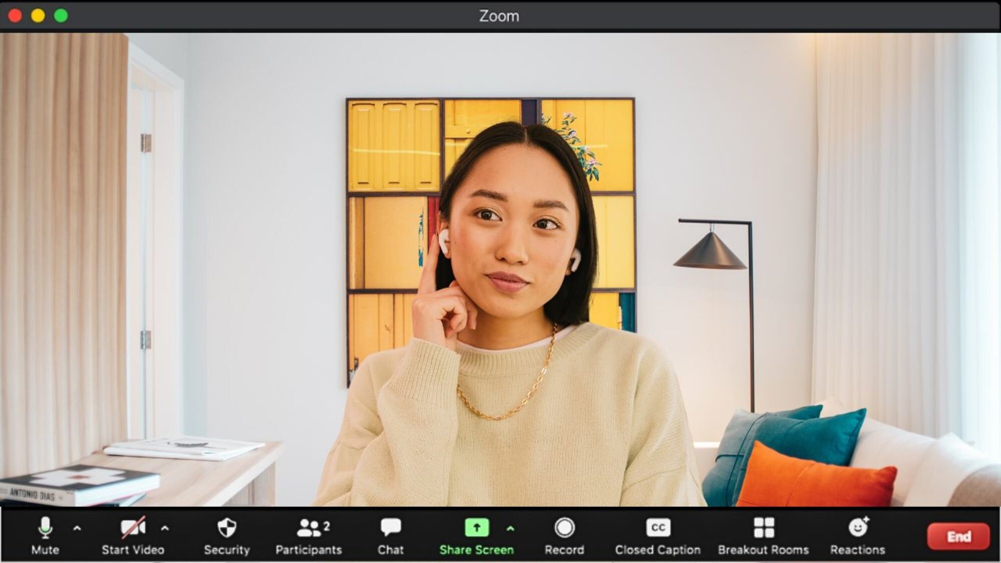 Transform Your Zoom Call, Meet, MS Teams With Stunning Eclectic Living ...