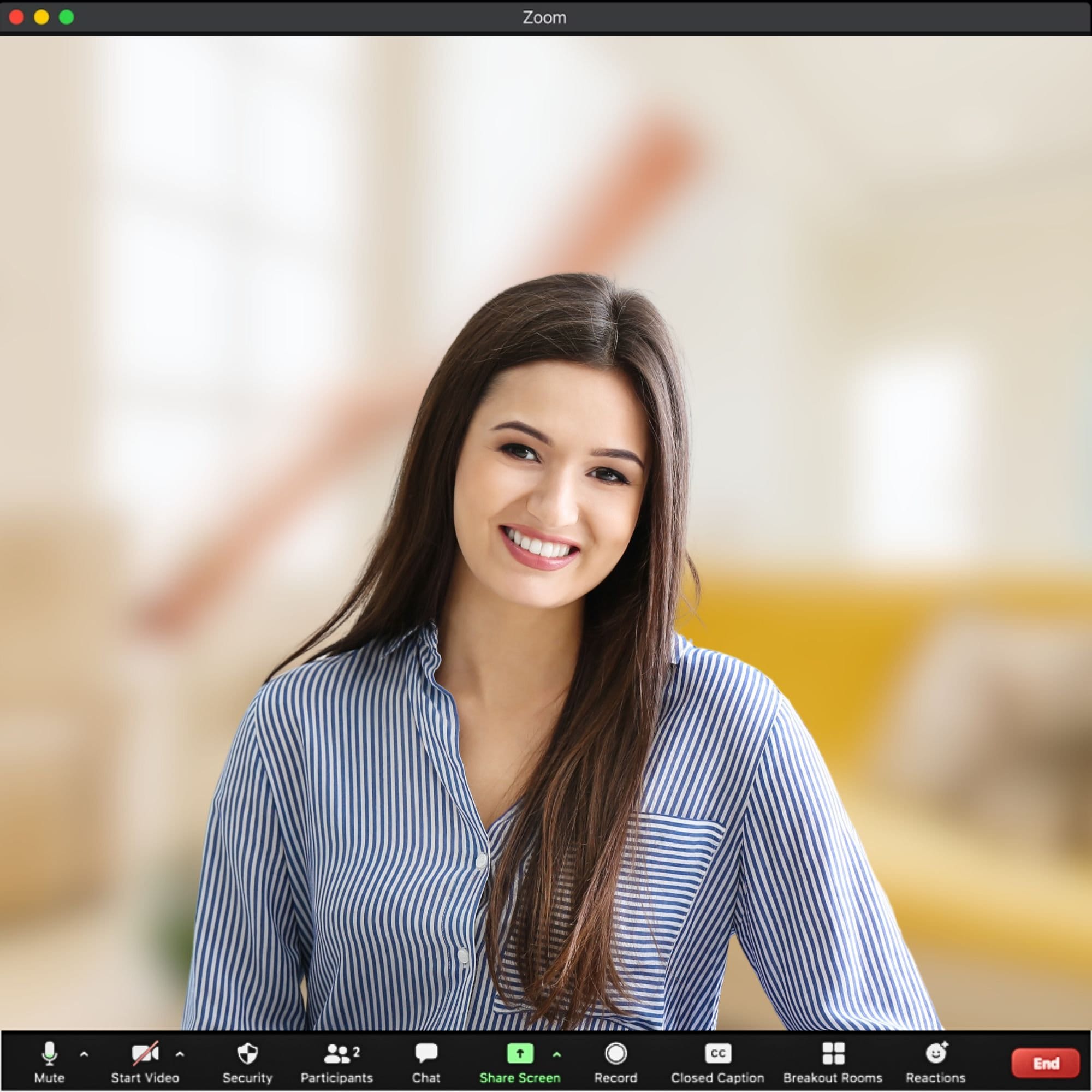 Transform Your Zoom Call, Google Meet, Microsoft Teams, Skype With ...