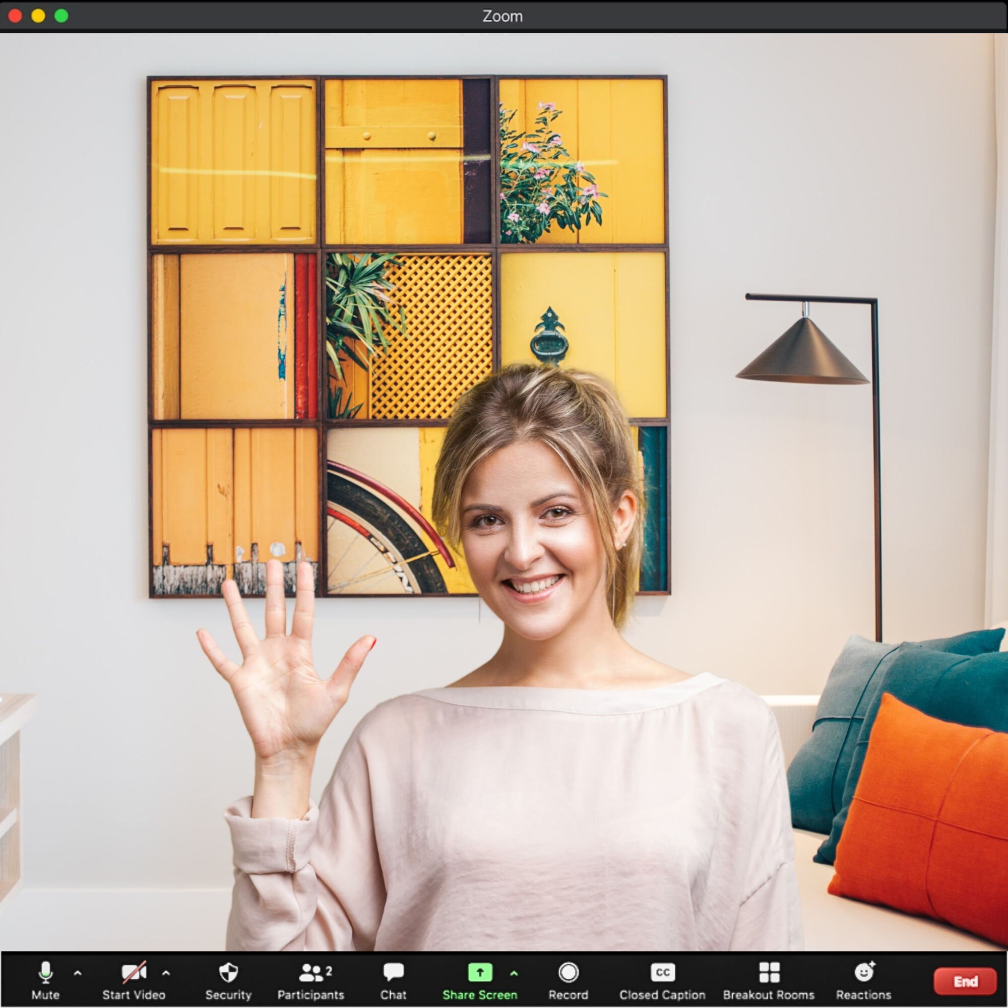 Transform Your Zoom Call, Meet, MS Teams With Stunning Eclectic Living ...