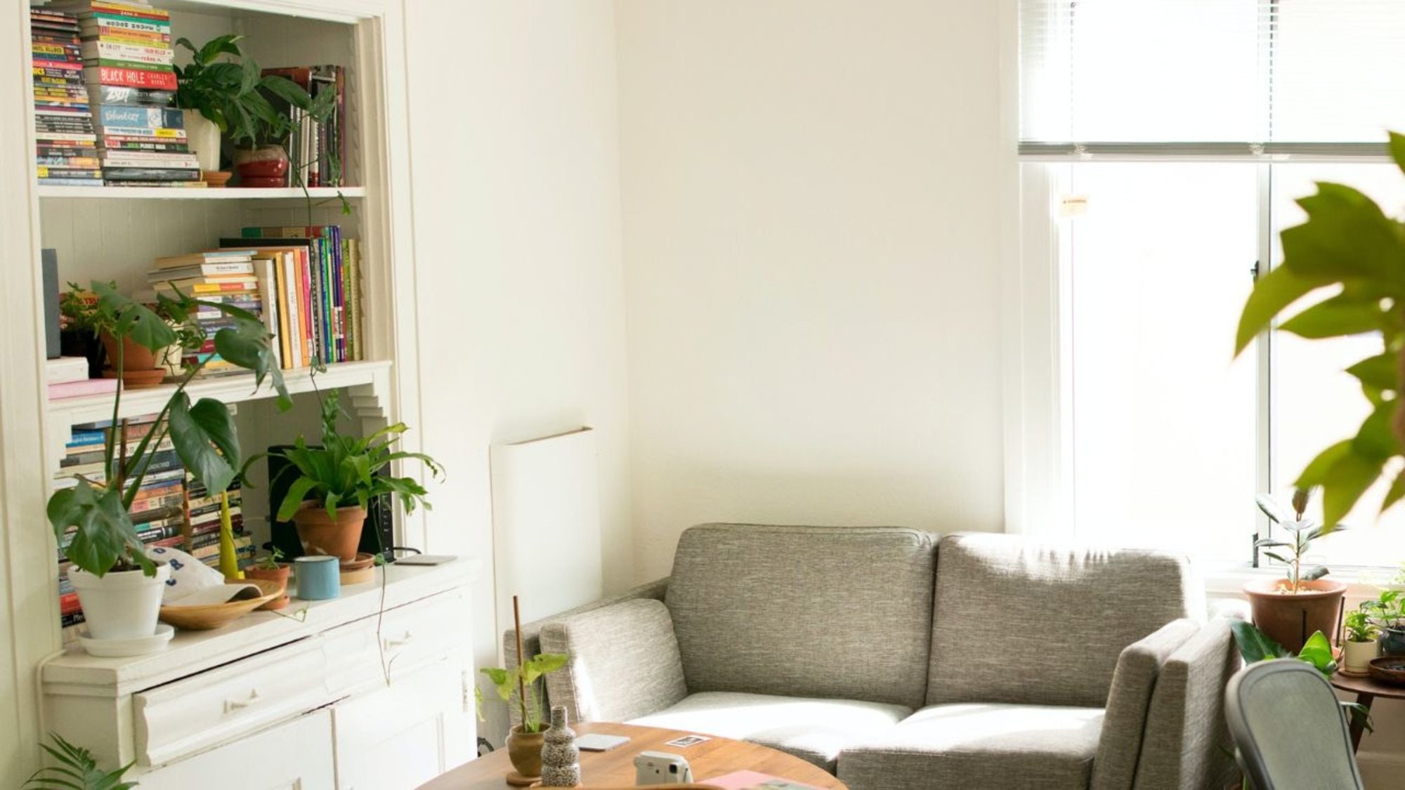 Transform Your Zoom Calls, Microsoft Teams, Skype, Google Meet With ...