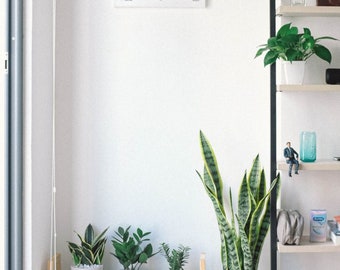 Transform Your Zoom Calls, Google Meet, Microsoft Teams, Skype With ...