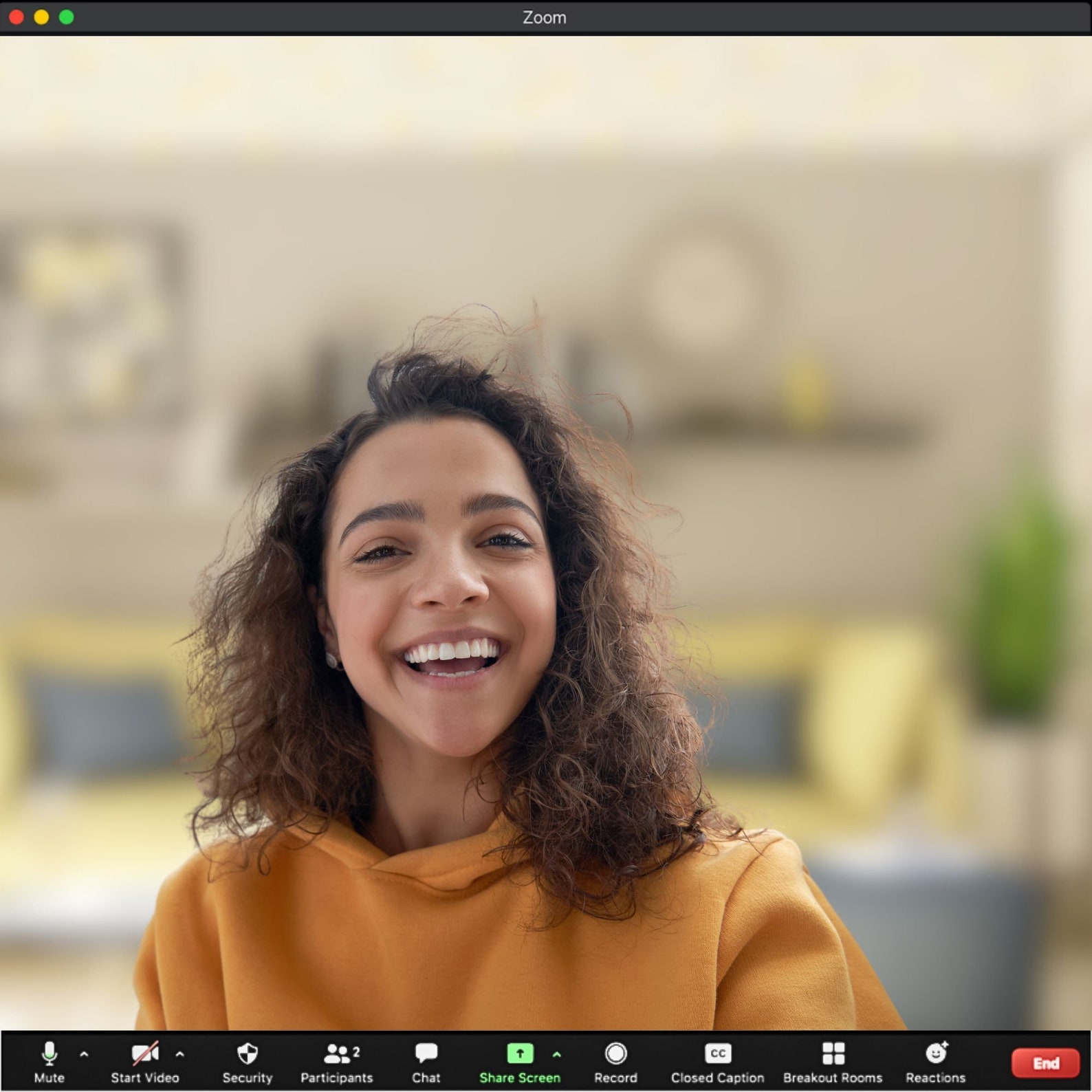 Transform Your Zoom Call, Google Meet, Microsoft Teams, Skype With ...