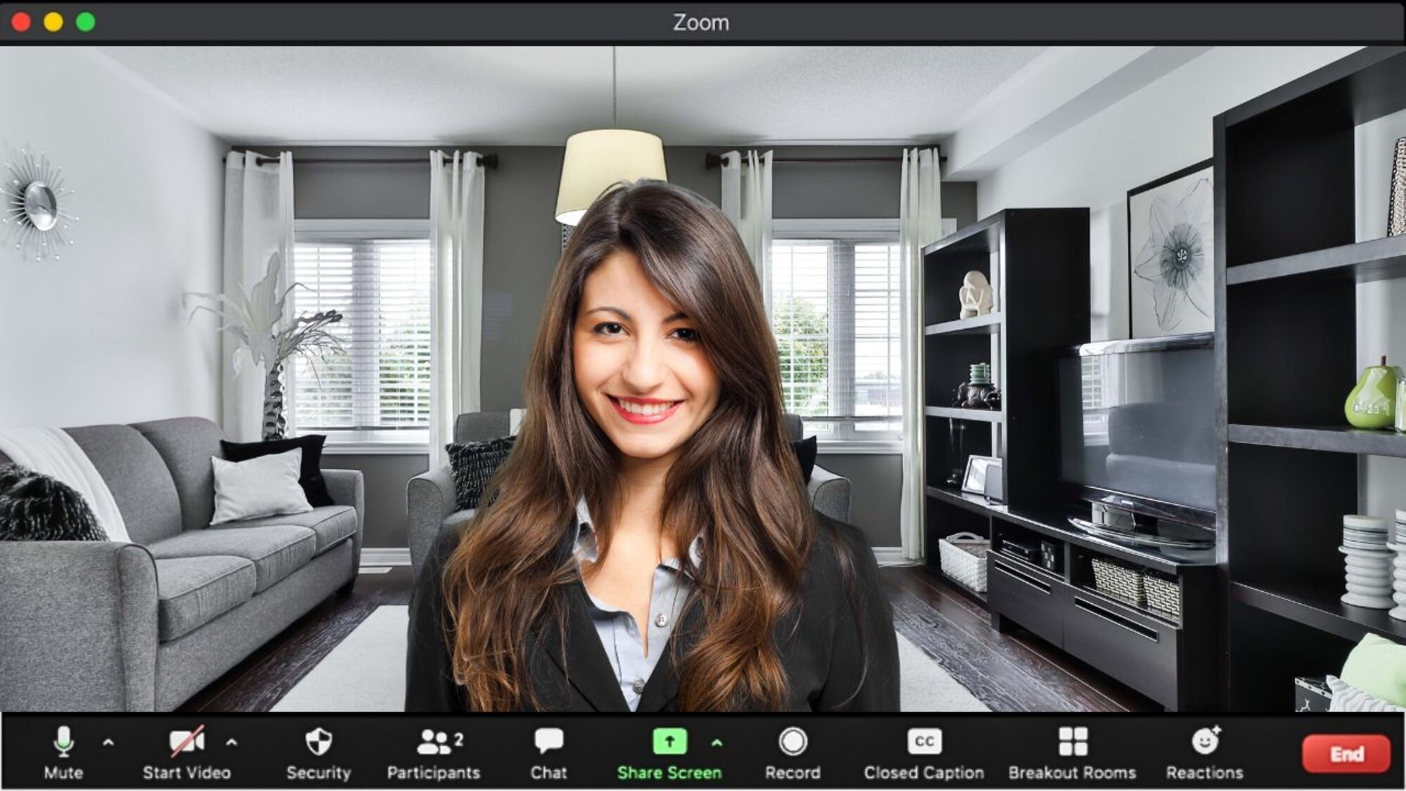 Transform Your Zoom Call, Meet, MS Teams With Stunning Luxurious Living ...