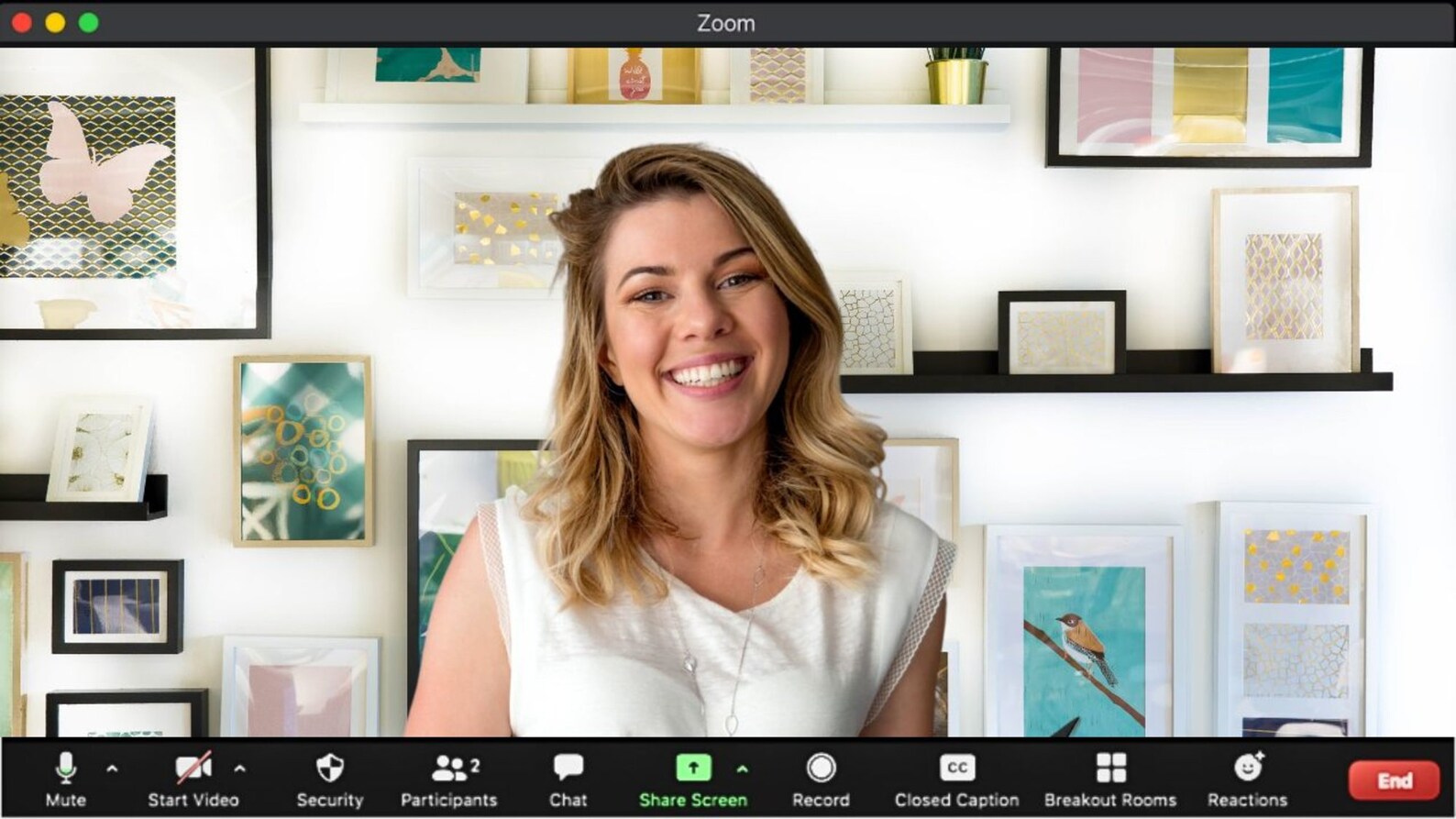 Transform Your Zoom Call, Meet, MS Teams, Skype With Stunning Gallery ...