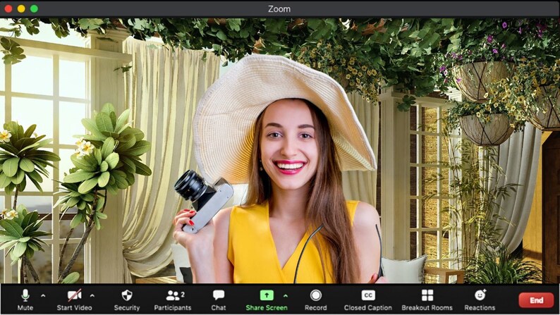 Transform Your Zoom Call, Google Meet, Microsoft Teams, Skype With ...