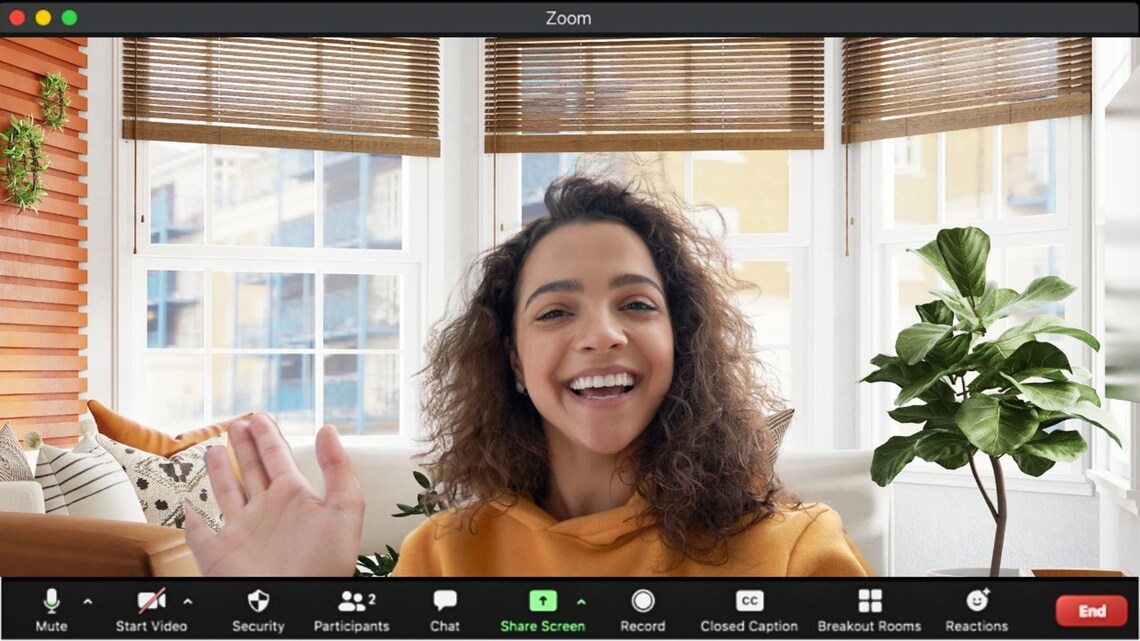 Transform Your Zoom Calls, Google Meet, Skype, Microsoft Teams With ...