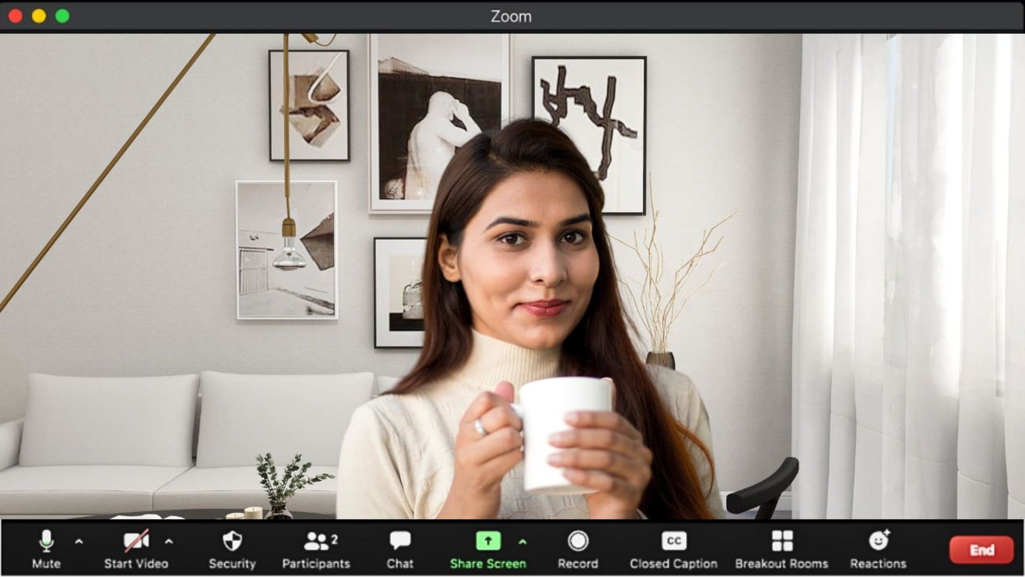 Transform Your Zoom Calls, Google Meet, MS Teams, Skype With Stunning ...