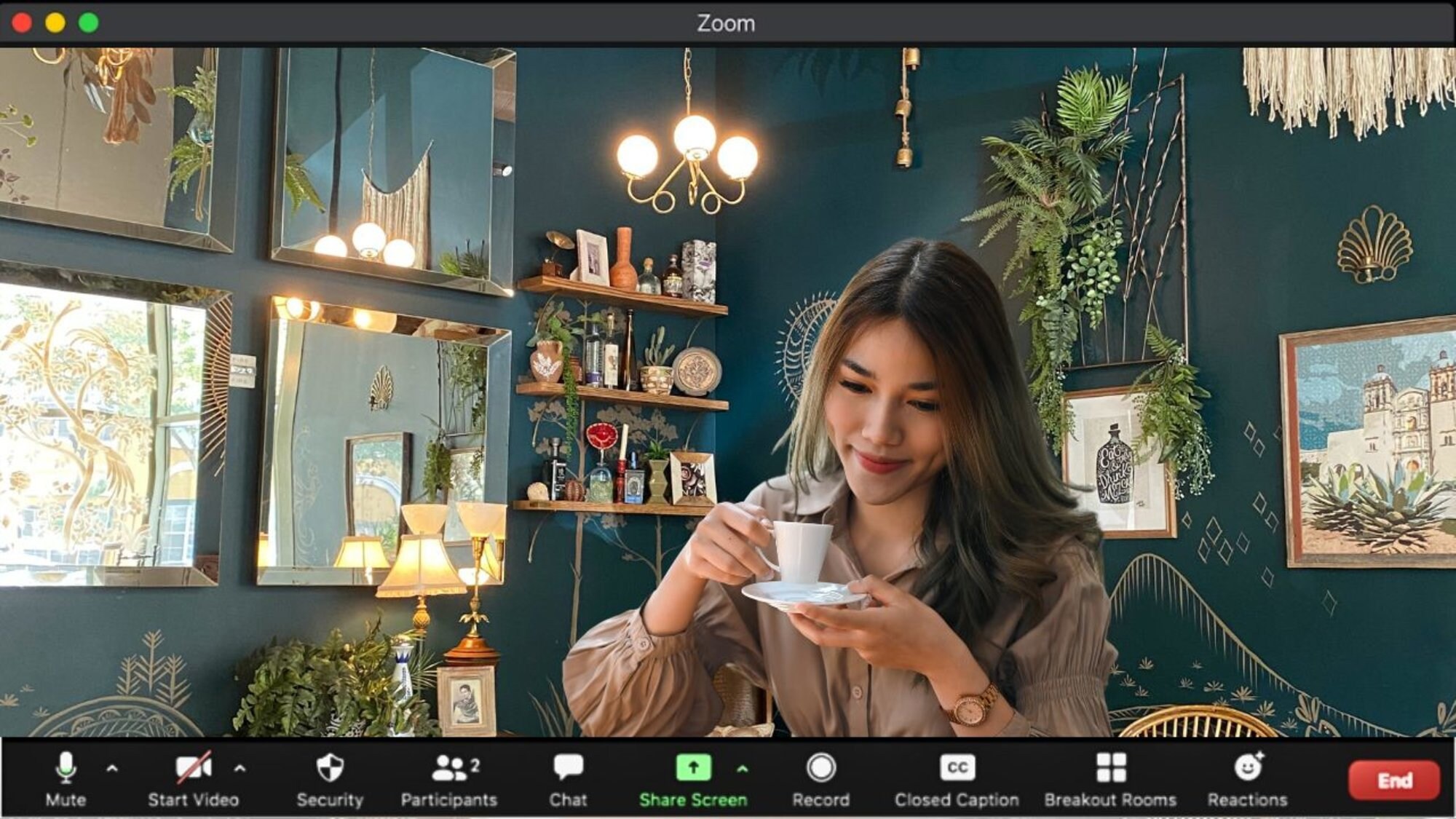 Transform Your Zoom Calls, Google Meet, MS Teams With Stunning Virtual ...