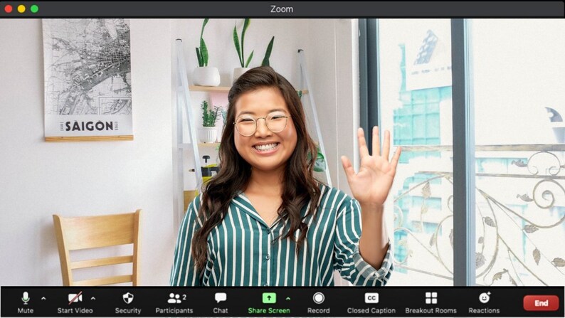 Transform Your Zoom Calls, Google Meet, Microsoft Teams, Skype With ...
