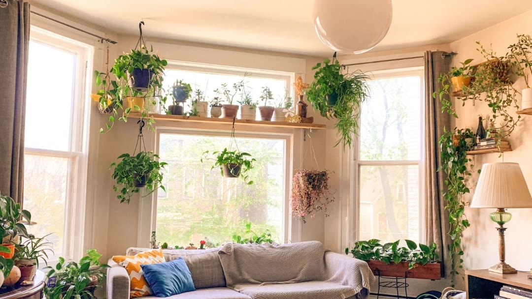 Transform Your Zoom Call, Google Meet, MS Team With Stunning Garden ...