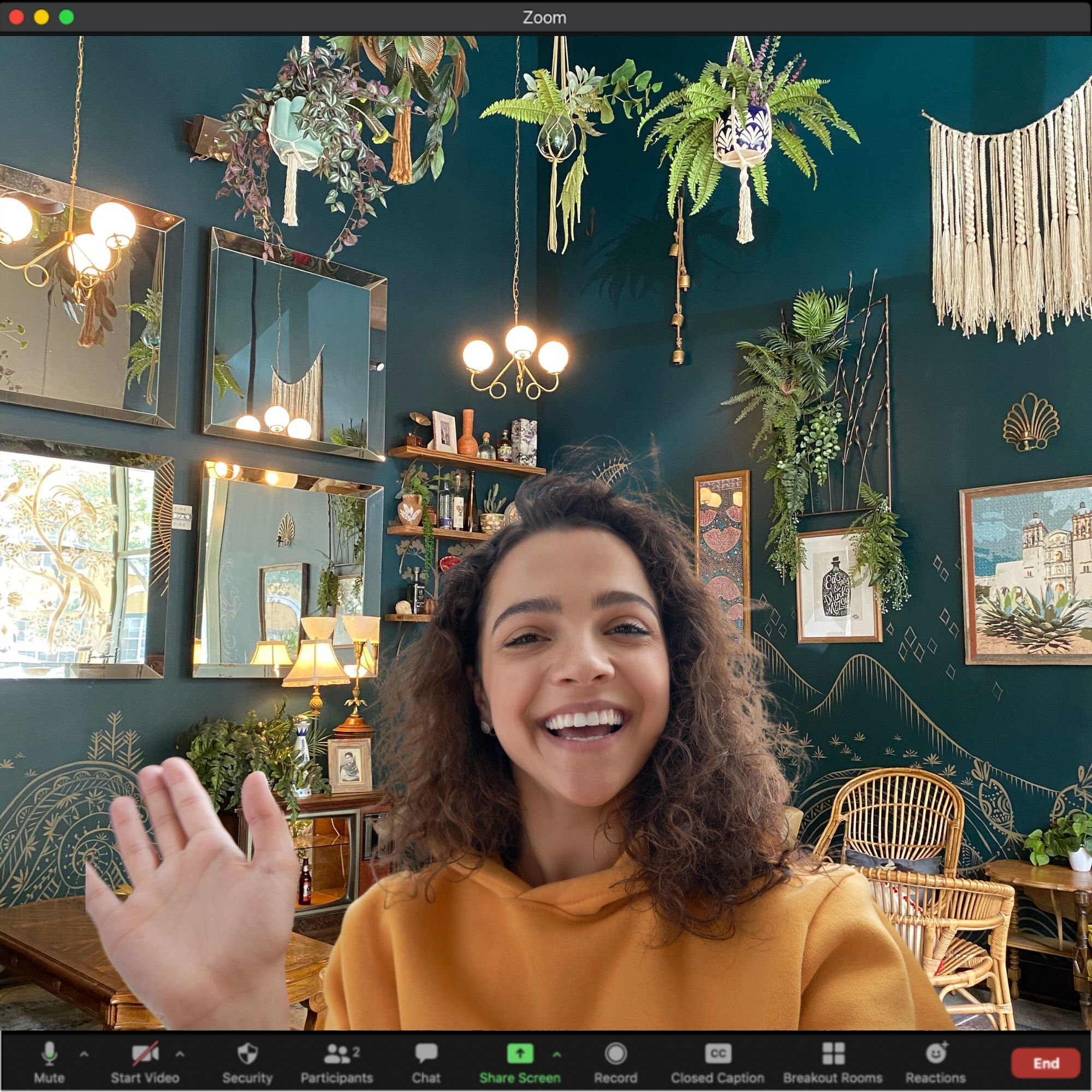 Transform Your Zoom Calls, Google Meet, MS Teams With Stunning Virtual ...