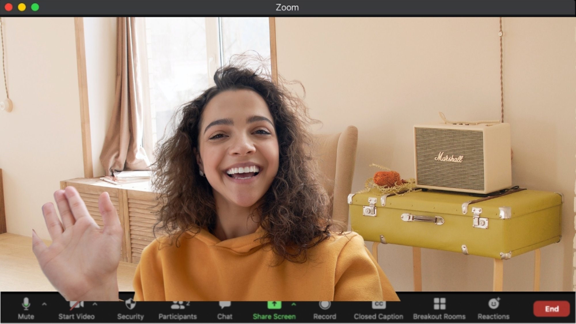 Transform Your Zoom Calls Google Meet Skype Microsoft Team - Etsy