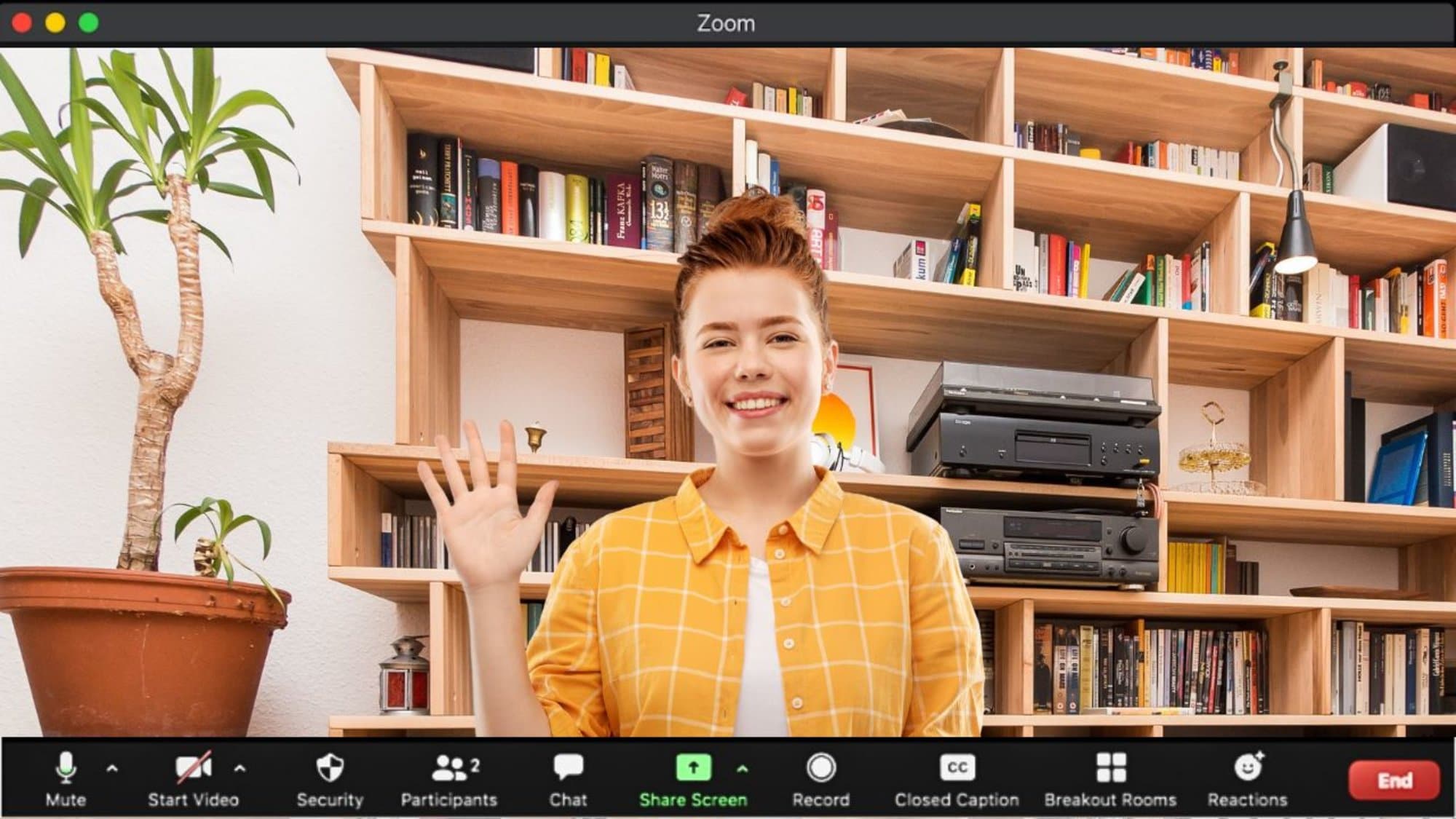 Transform Zoom Call, Google Meet, MS Teams With Stunning Mixed Media ...