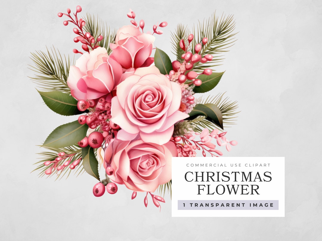 Christmas Flower Clipart, Clip Art for Commercial Use, Christmas PNG ...