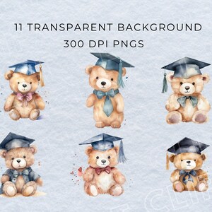 Graduation Teddy Bear Clipart, Watercolor Clipart, Clipart for ...