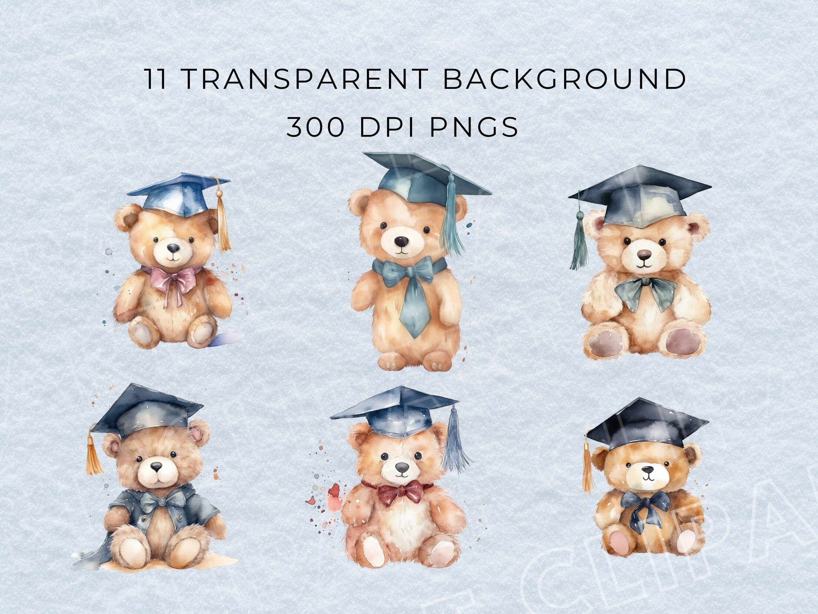 Graduation Teddy Bear Clipart, Watercolor Clipart, Clipart for ...