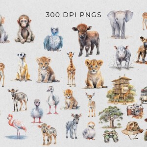 Baby Safari Animals Clipart, Watercolor Clipart, Clipart for Commercial ...