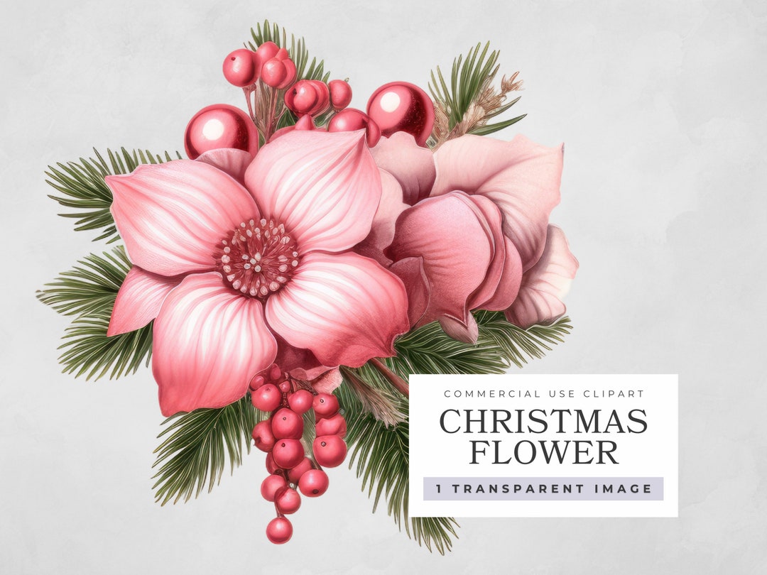 Christmas Flower Clipart, Clip Art for Commercial Use, Christmas PNG ...