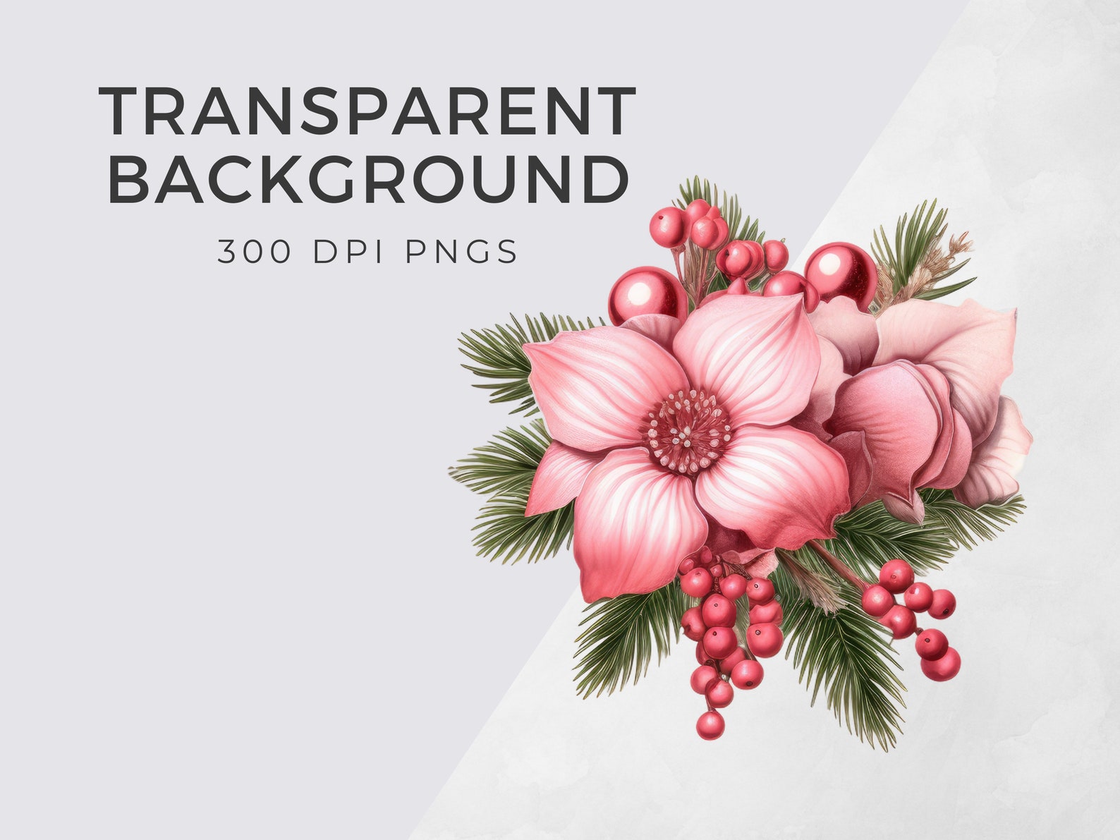 Christmas Flower Clipart, Clip Art for Commercial Use, Christmas PNG ...