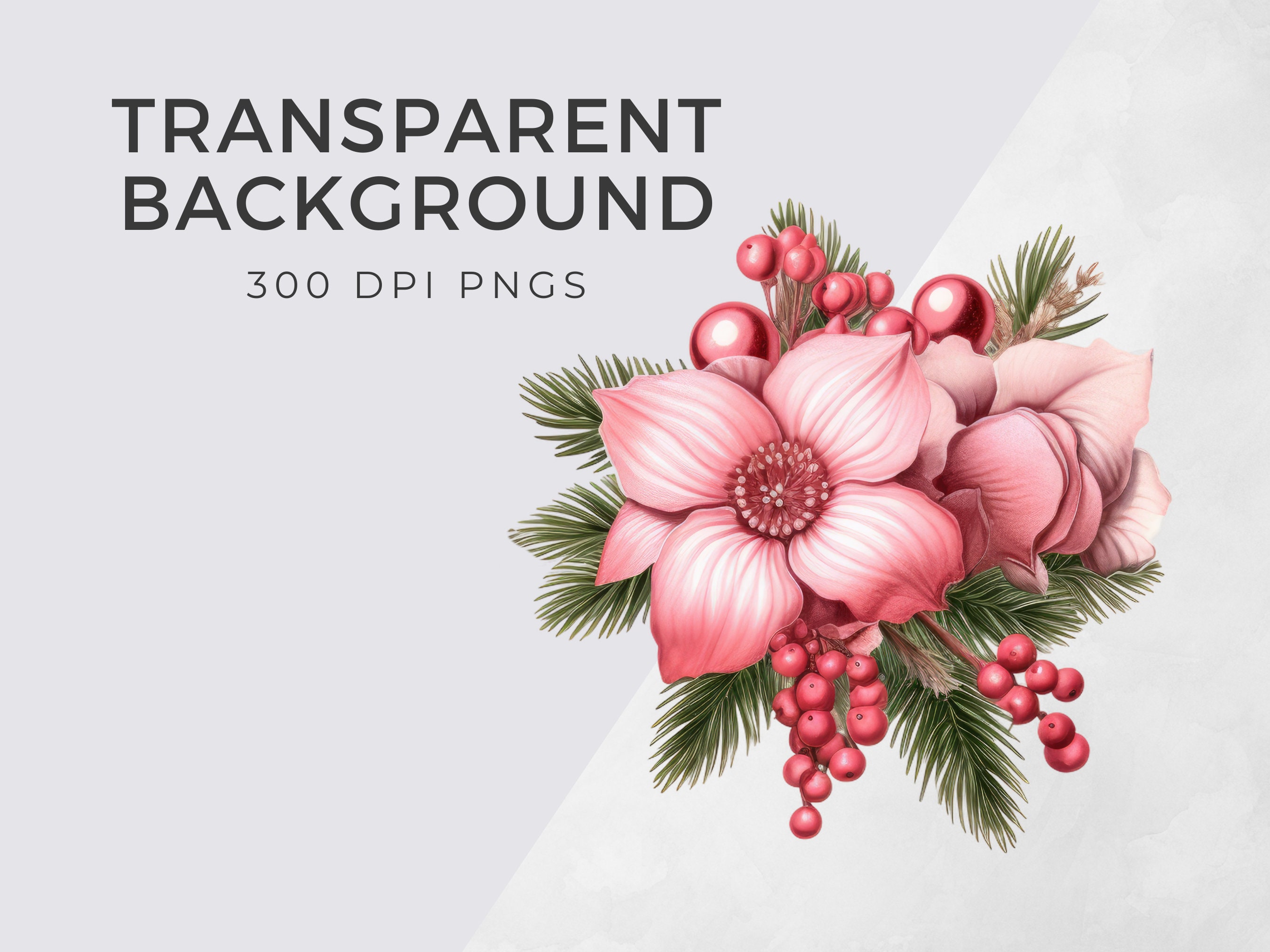 Christmas Flower Clipart, Clip Art for Commercial Use, Christmas PNG ...